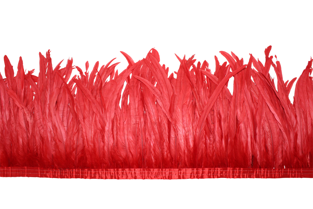 Cocktail – Schuman Feathers