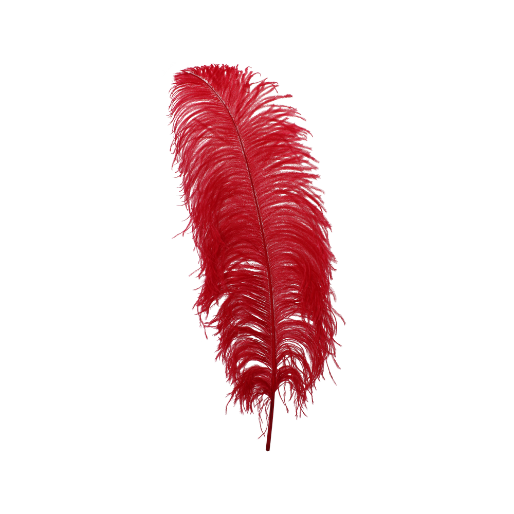 Schuman Feathers - Quality Wholesale Feathers to buy in the USA