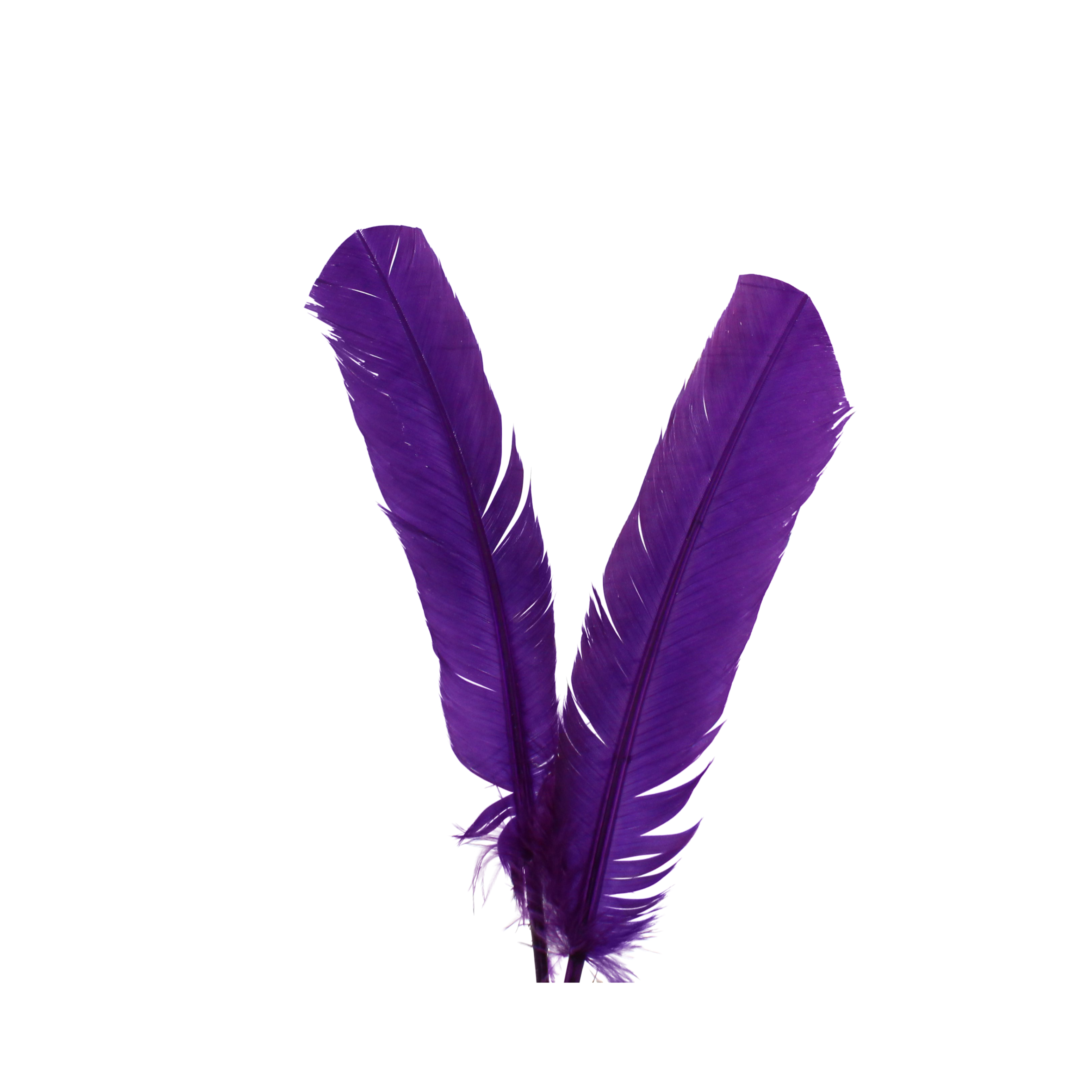 Schuman Feathers - Quality Wholesale Feathers to buy in the USA