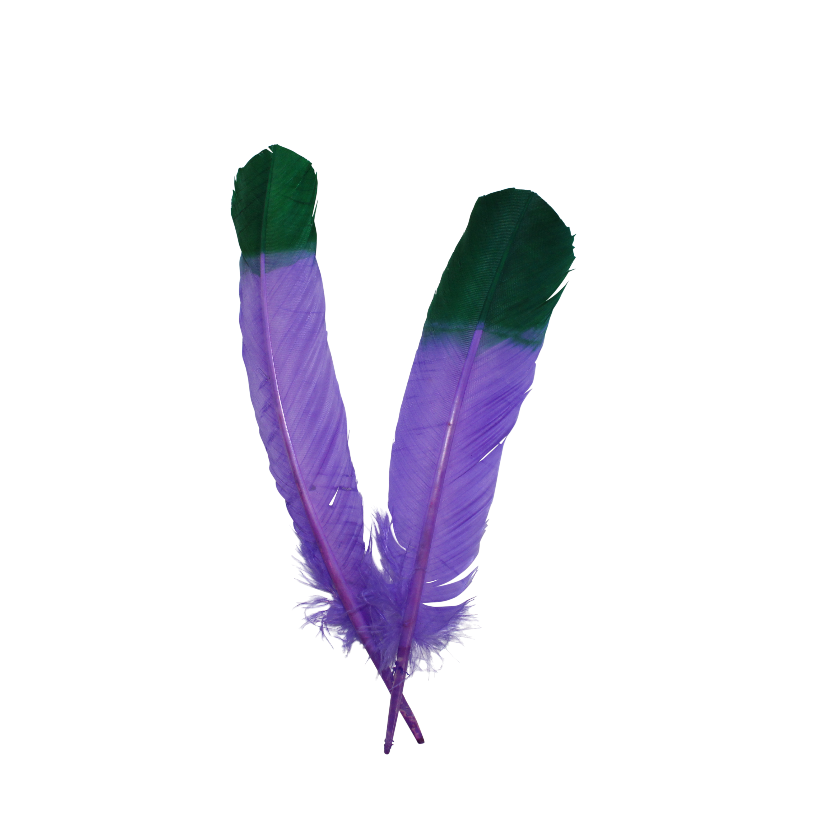 Turkey Quills 2 Tone – Schuman Feathers
