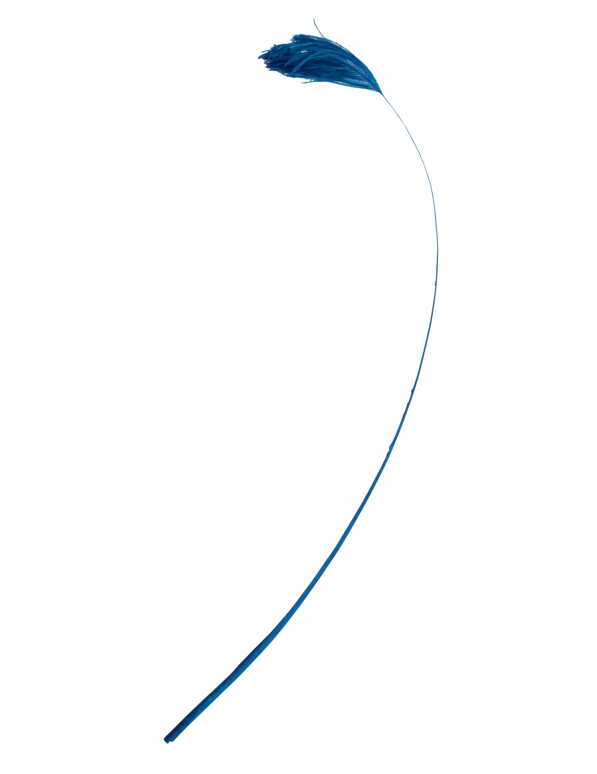 Ostrich Wings Plume Tip H100 Turquoise – Schuman Feathers