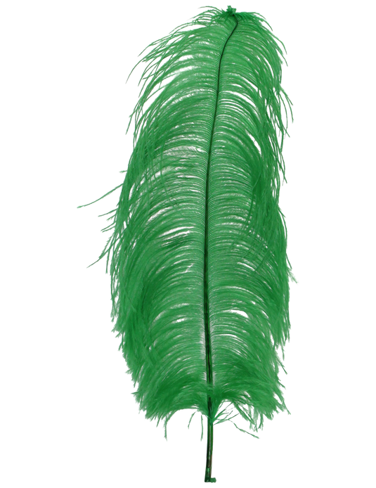 Ostrich – Schuman Feathers