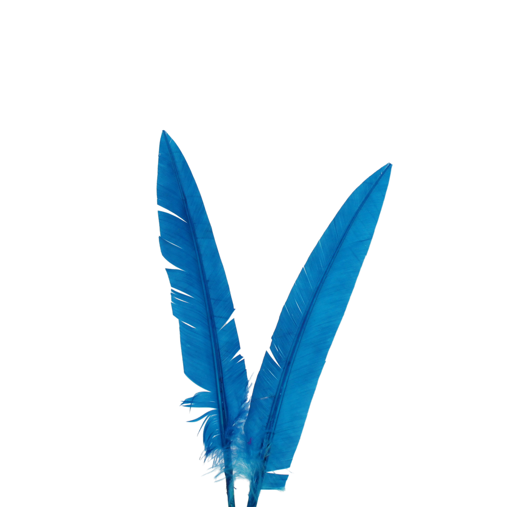 Turkey Quills Arrow Cut H100 Turquoise – Schuman Feathers