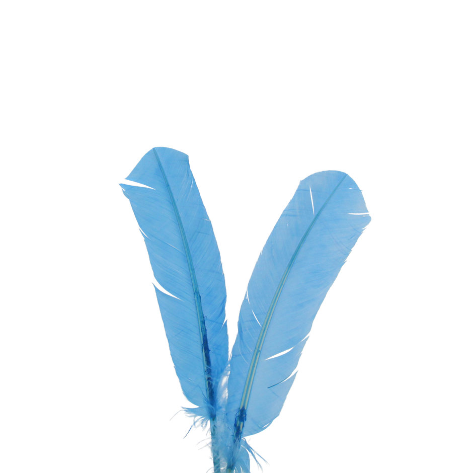 Turkey Quills Regular Cut – Schuman Feathers