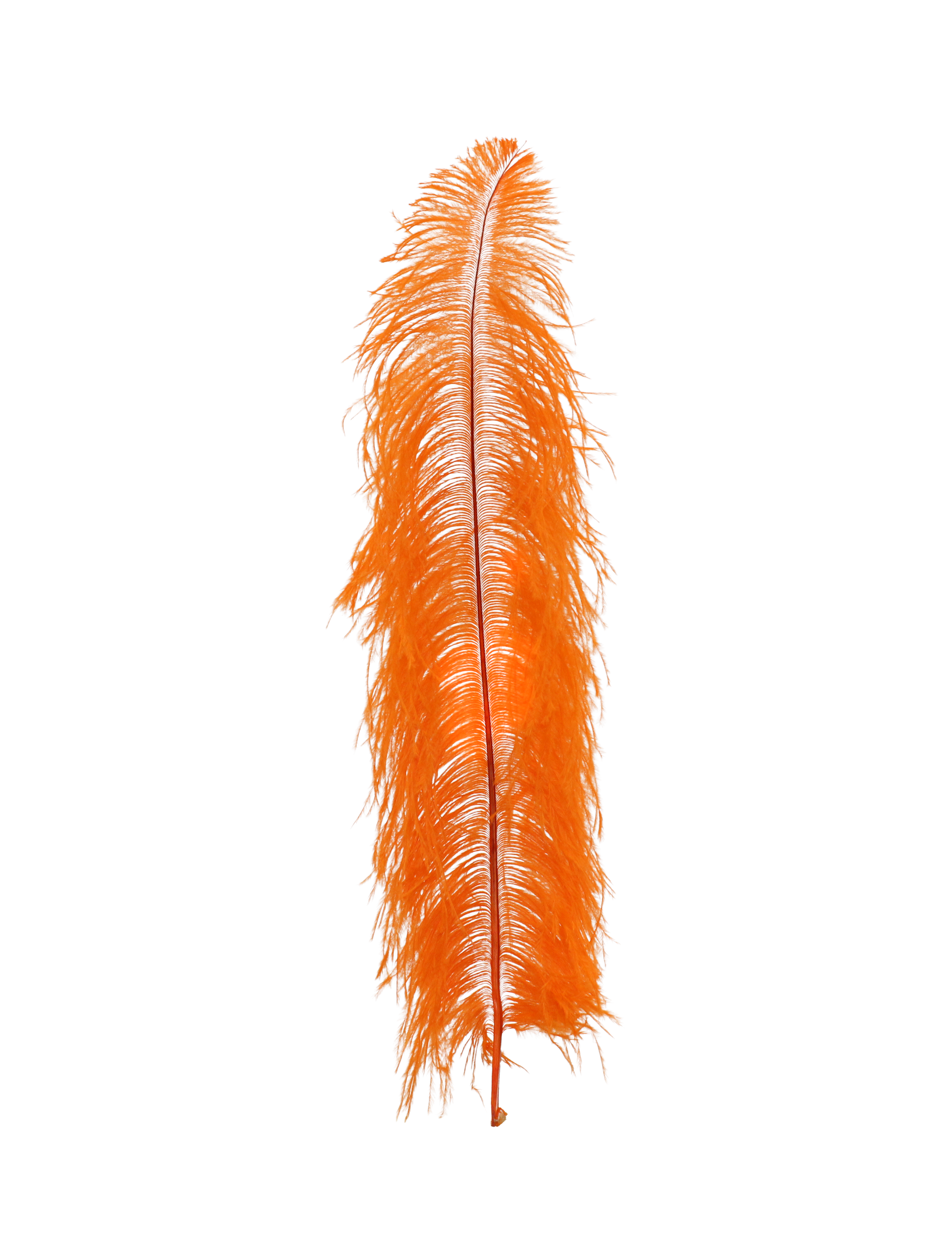 Ostrich Drabs 13-17" H62 Orange – Schuman Feathers