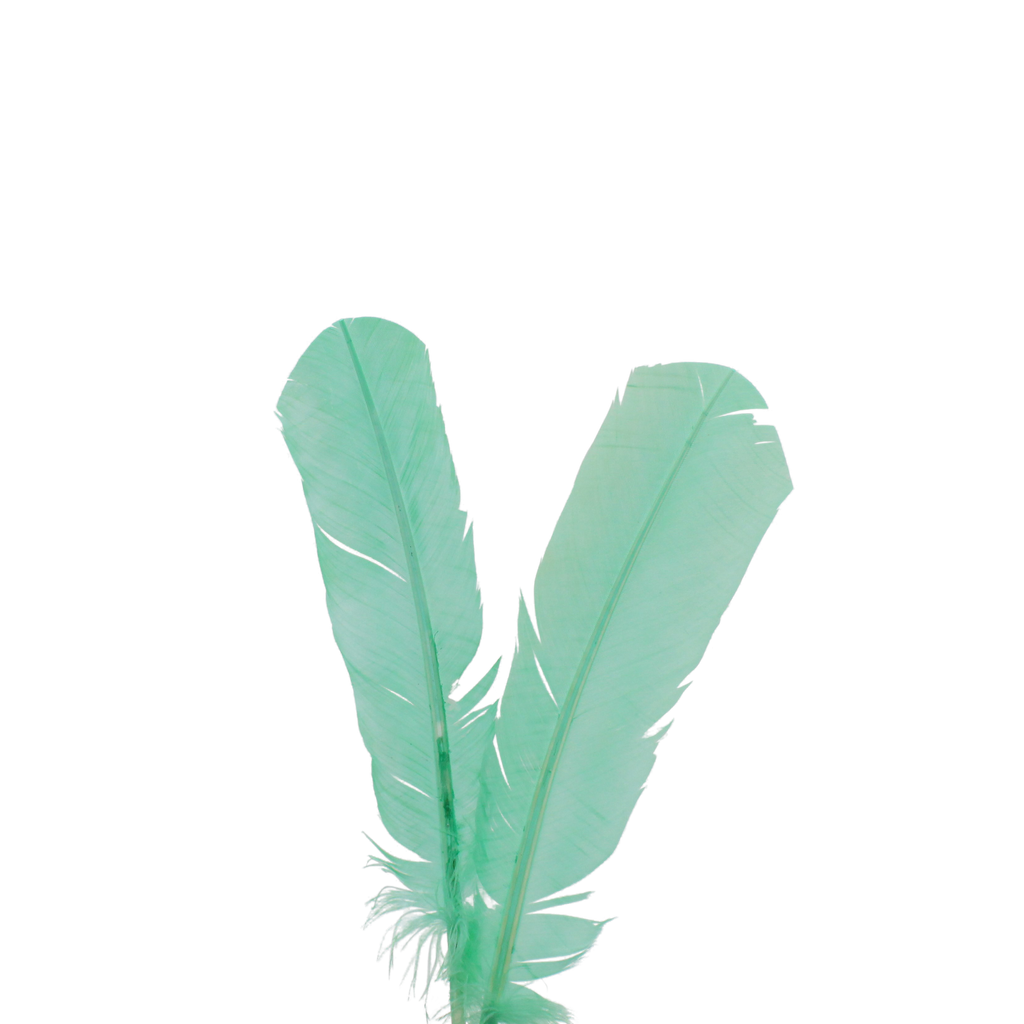Turkey Quills H6 Mint – Schuman Feathers