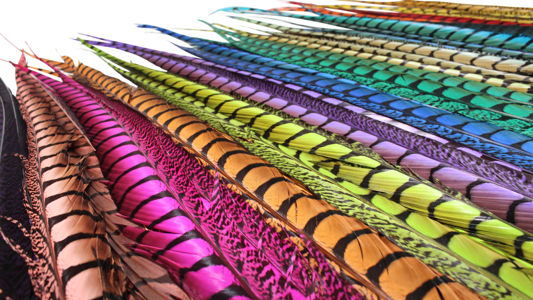 Schuman Feathers - Quality Wholesale Feathers to buy in the USA