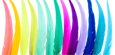 Schuman Feathers - Quality Wholesale Feathers to buy in the USA