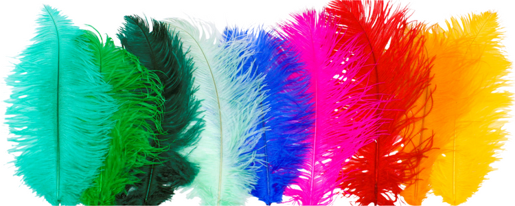 Schuman Feathers - Quality Wholesale Feathers to buy in the USA