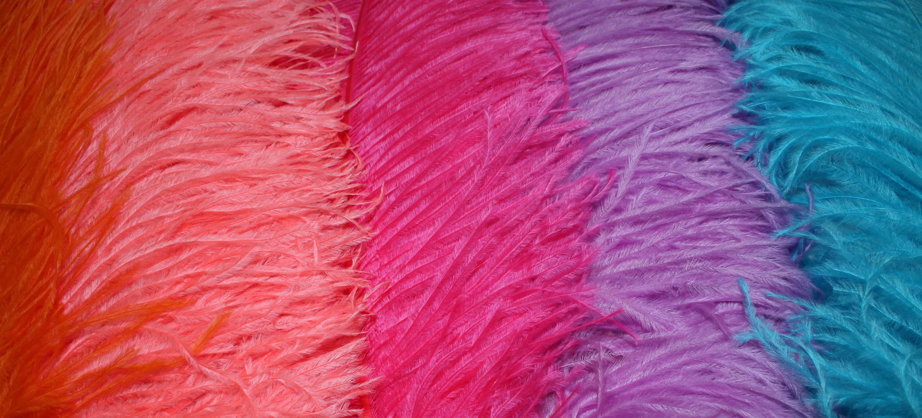 Schuman Feathers - Quality Wholesale Feathers to buy in the USA