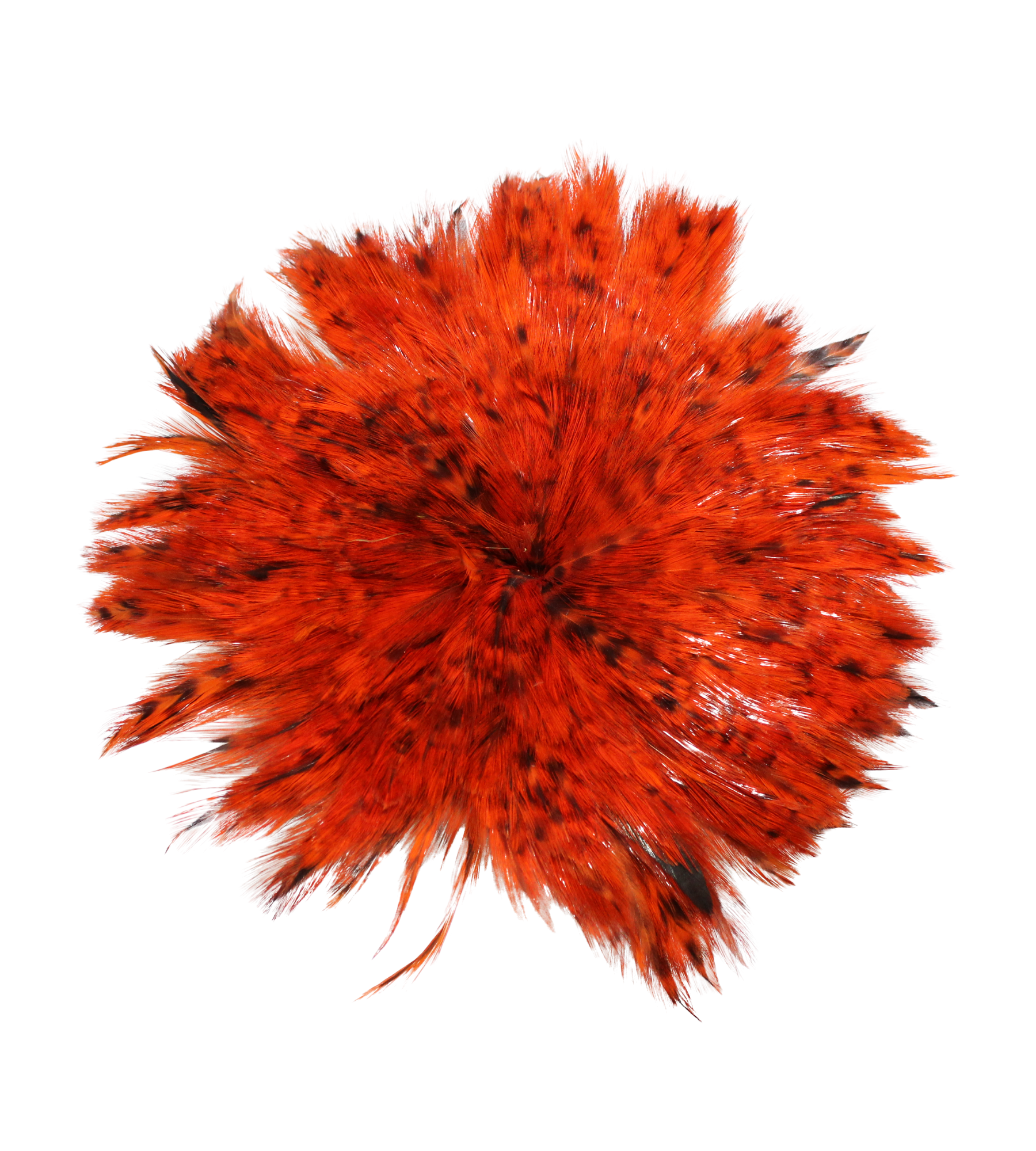 Grizzly Hackles Pounds 4-6" H62 Orange – Schuman Feathers