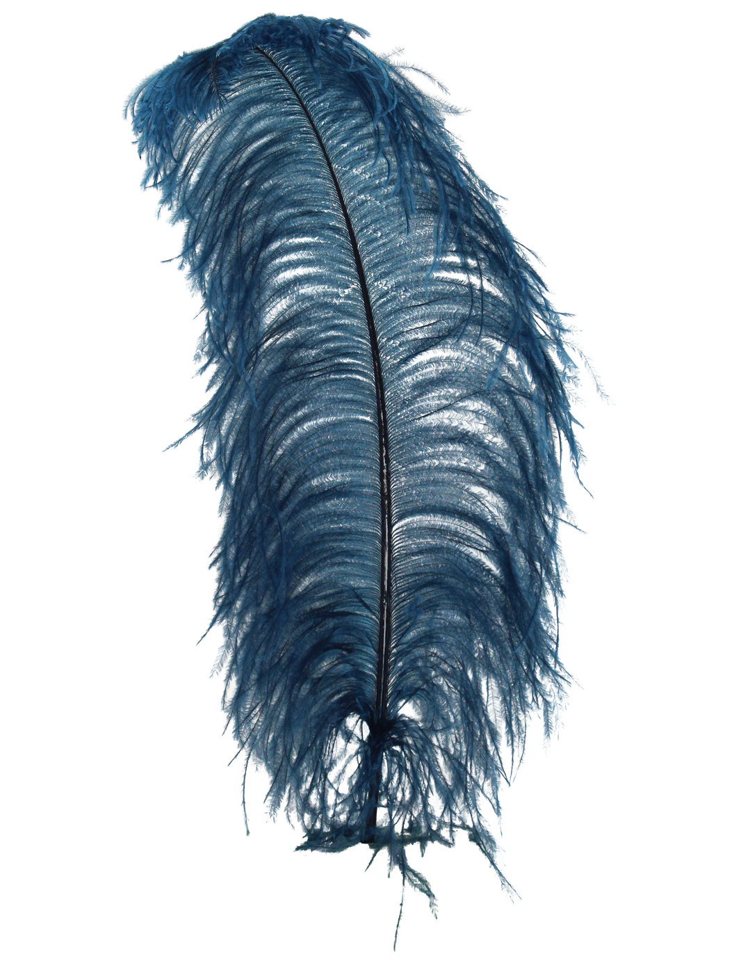 Wing Plumes 1st Quality 20”+ – Schuman Feathers