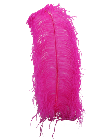 Wing Plumes 1st Quailty 20”+ – Schuman Feathers