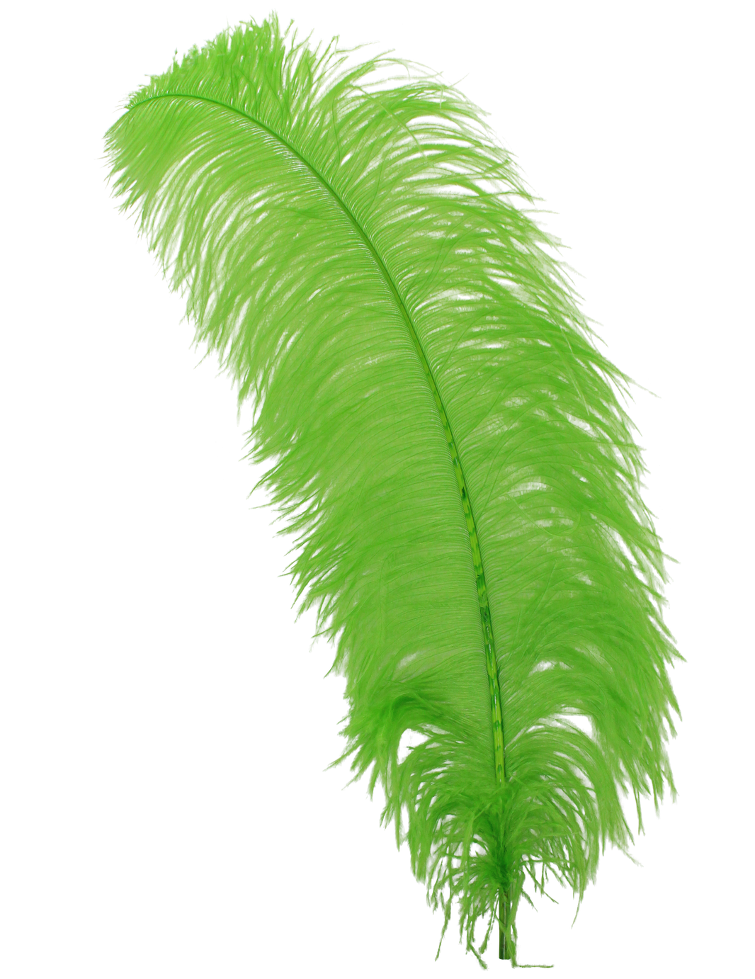 Wing Plumes 1st Quality 20”+ – Schuman Feathers