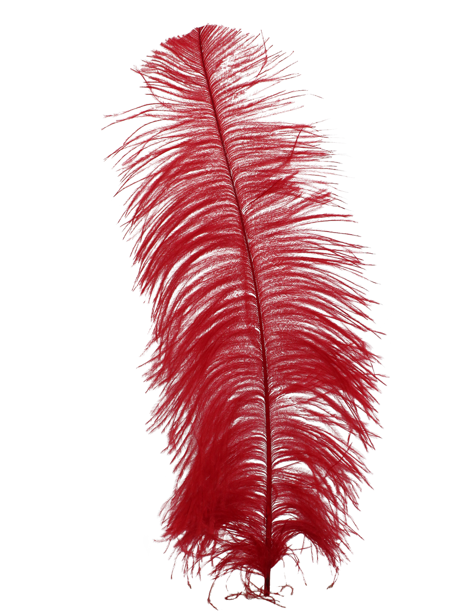 Wing Plumes 2nd Quality 20”+ – Schuman Feathers