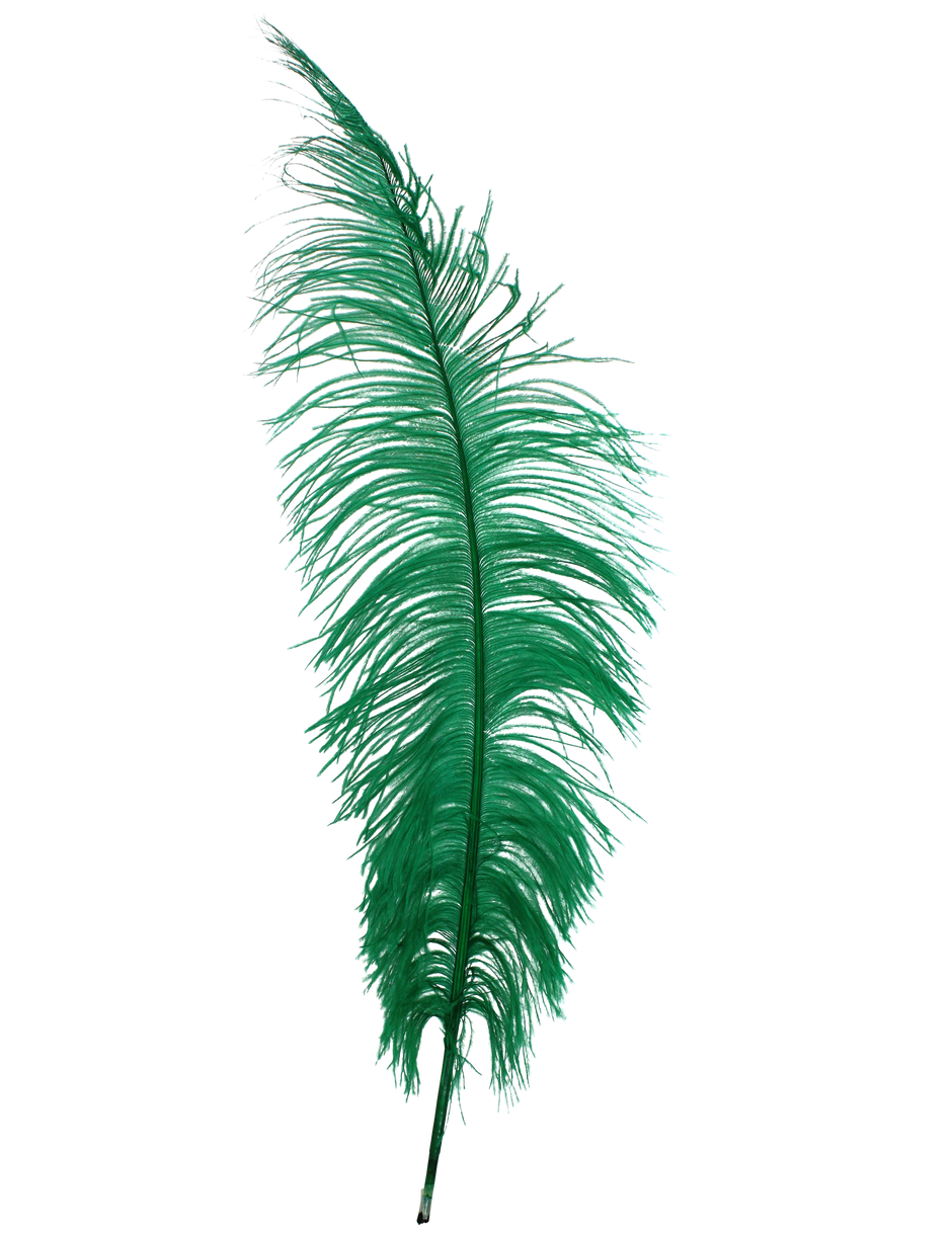 Spads Untrimmed 20”+ – Schuman Feathers