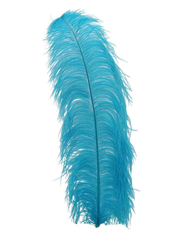 Wing Plumes 1st Quality 20”+ – Schuman Feathers