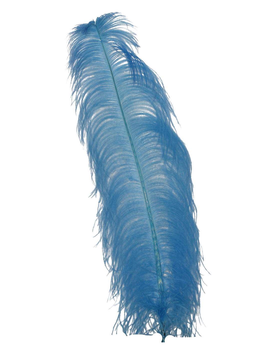 Wing Plumes 1st Quality 20”+ – Schuman Feathers
