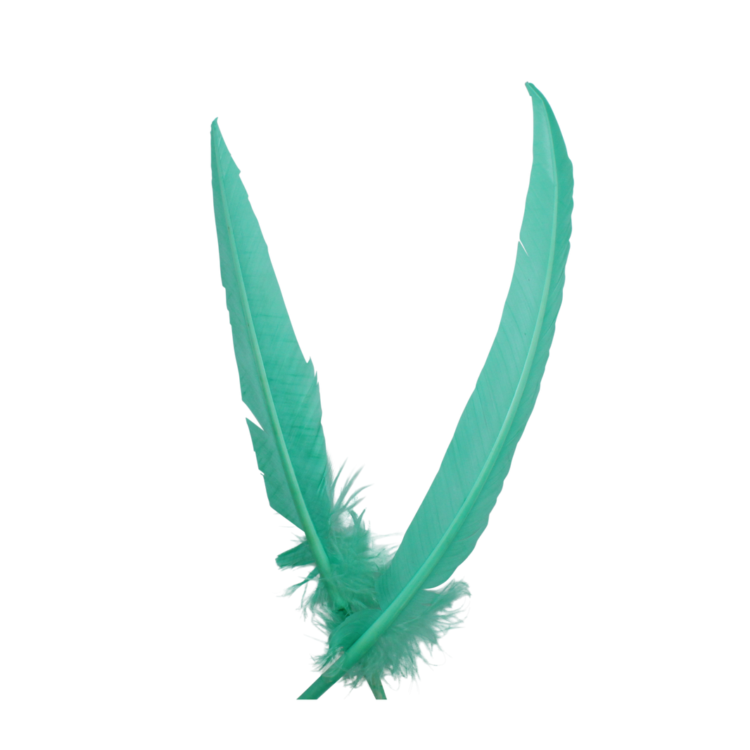 Turkey Quills Arrow Cut – Schuman Feathers