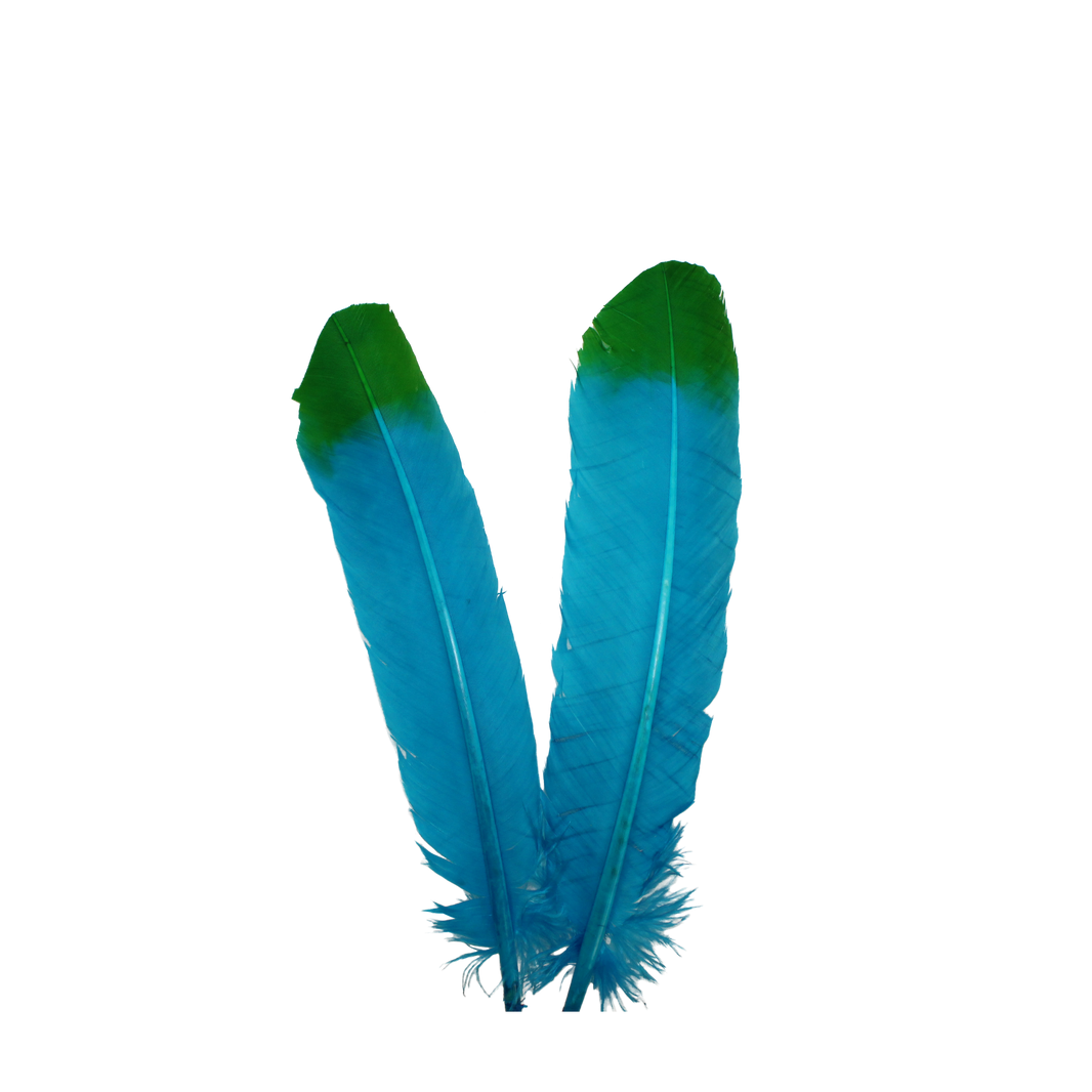 Turkey Quills 2 Tone – Schuman Feathers